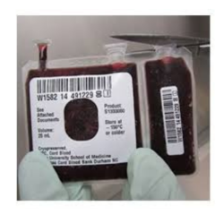 Ducord (HPC, Cord Blood) Price in India | 9310090915