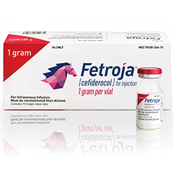 Fetroja (cefiderocol) :uses, dosage, availability, Price, side effects